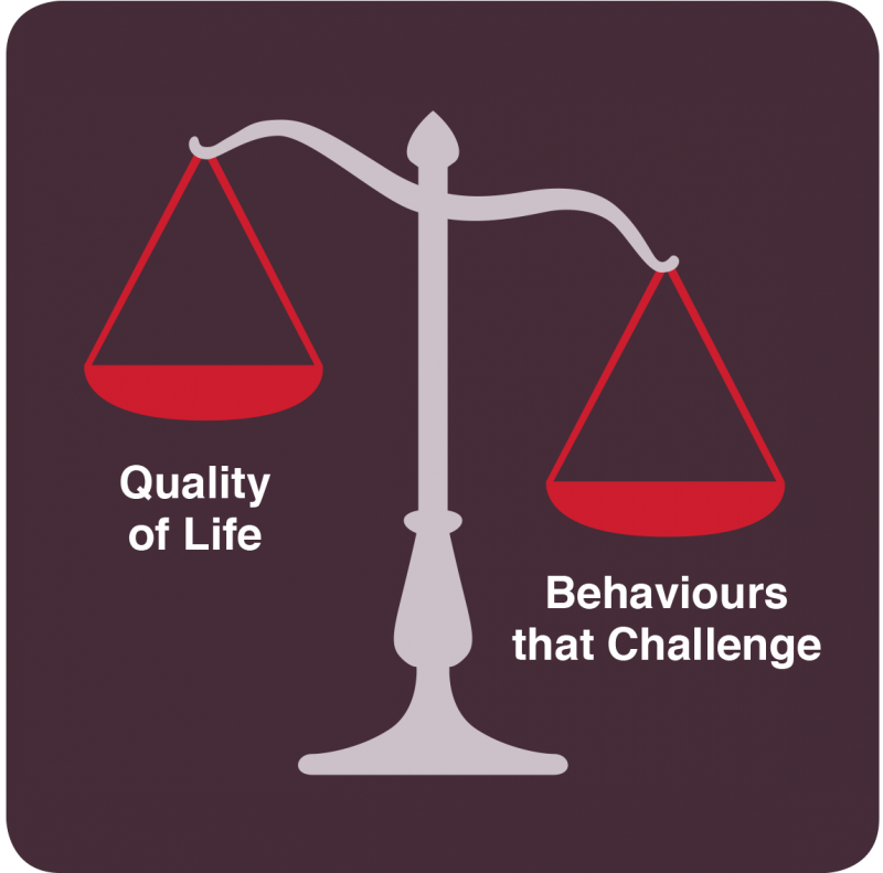 What is Positive Behaviour Support ? - Redstone PBS